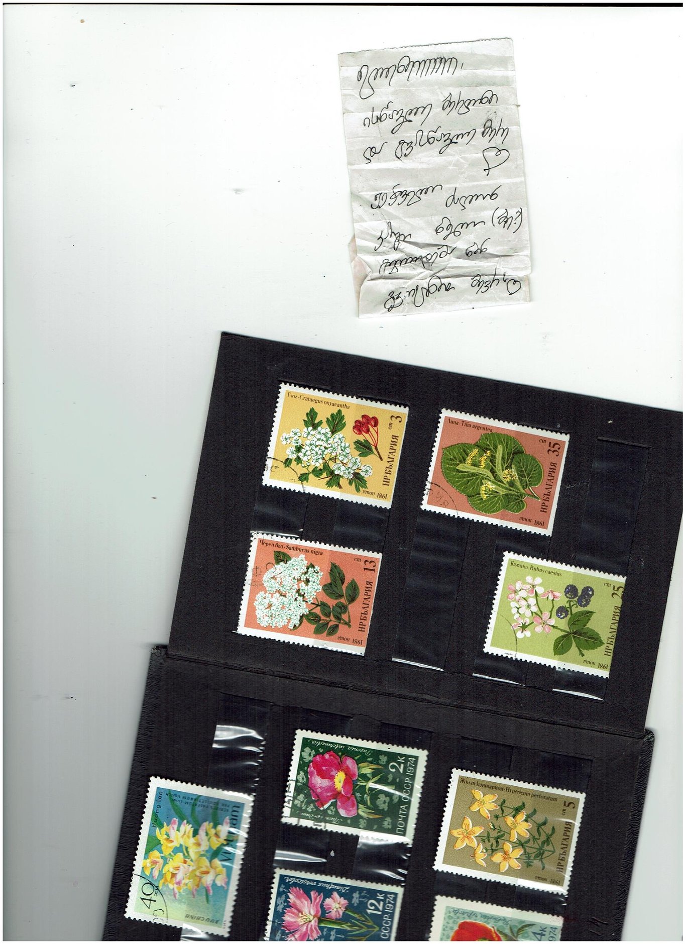 Portraits of Migration